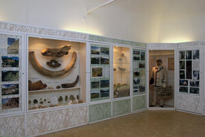 Kungur Museum of Local Lore (ulitsa Gogolya No:36), müzeler ve sanat galerileri  Kungur'dan