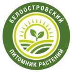 Beloostrovsky pitomnik rasteny (Novoye Highway No:11, posyolok Beloostrov), fidan yetiştiriciliği  Saint‑Petersburg'dan