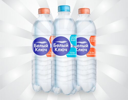 Sanayi kuruluşu White Source, Saratovskaya oblastı, foto