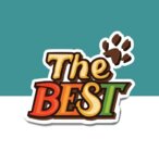 The Best (Sheynkmana Street No:7), evcil hayvan kuaförleri  Yekaterinburg'dan