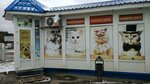 Кошкин дом (2-ya ulitsa Michurina No:42к5), petshop  Briansk'tan