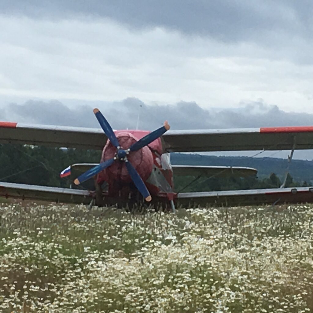 Hava meydanı аэродром Любытино, Novgorodskaya oblastı, foto