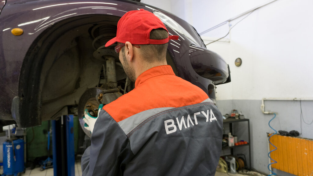 Otomobil servisi Wilgood, Moskova ve Moskovskaya oblastı, foto