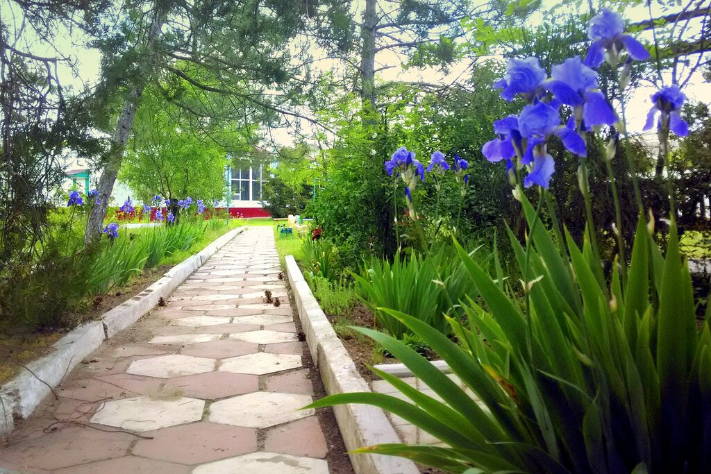 Resort oteller, tesisler Neptun-2, Nikolayev Bölgesi, foto