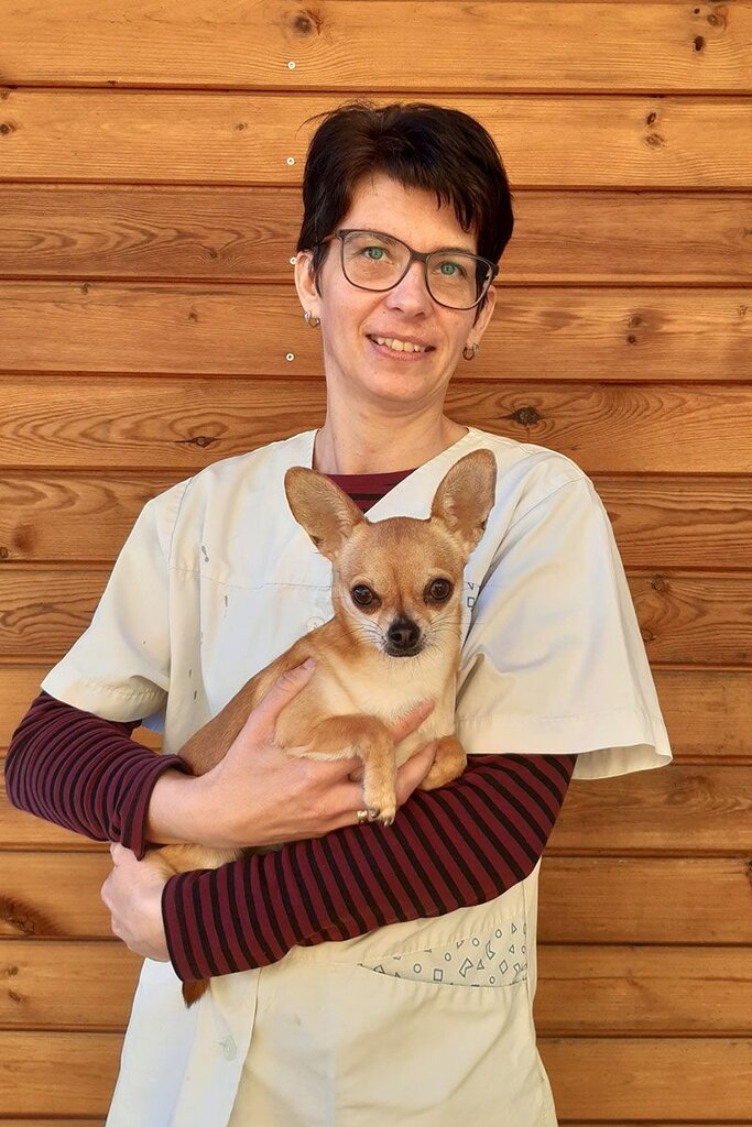 Veteriner klinikleri Mag. Agnes Hufnagl, Aşağı Avusturya, foto