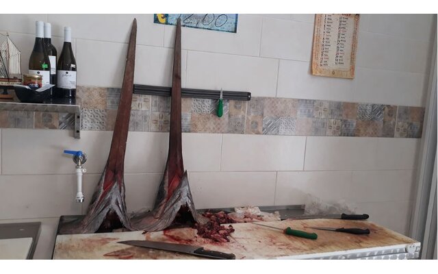 Balık çiftçiliği ve toptancıları Pescheria Ittica Palmese, Sicilya, foto