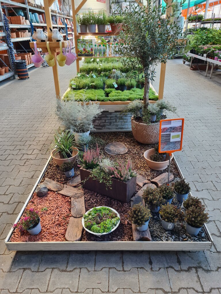 Ev temizlik ürünleri OBI, Dünya, foto