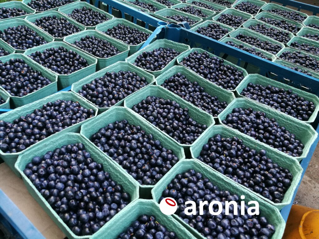 Tarım ürünleri firmaları Aroniya, Olonets, foto