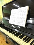 Musical Borra (bulvar Nesterova No:6, Aviatorov Microdistrict), müzik okulları ve konservatuarlar  Balaşiha'dan