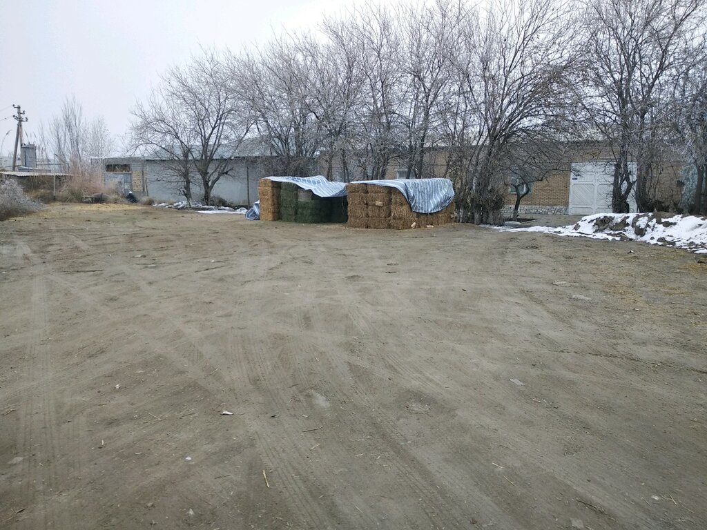 Yem ve yem katkı maddeleri Feed Additives, Buhara, foto