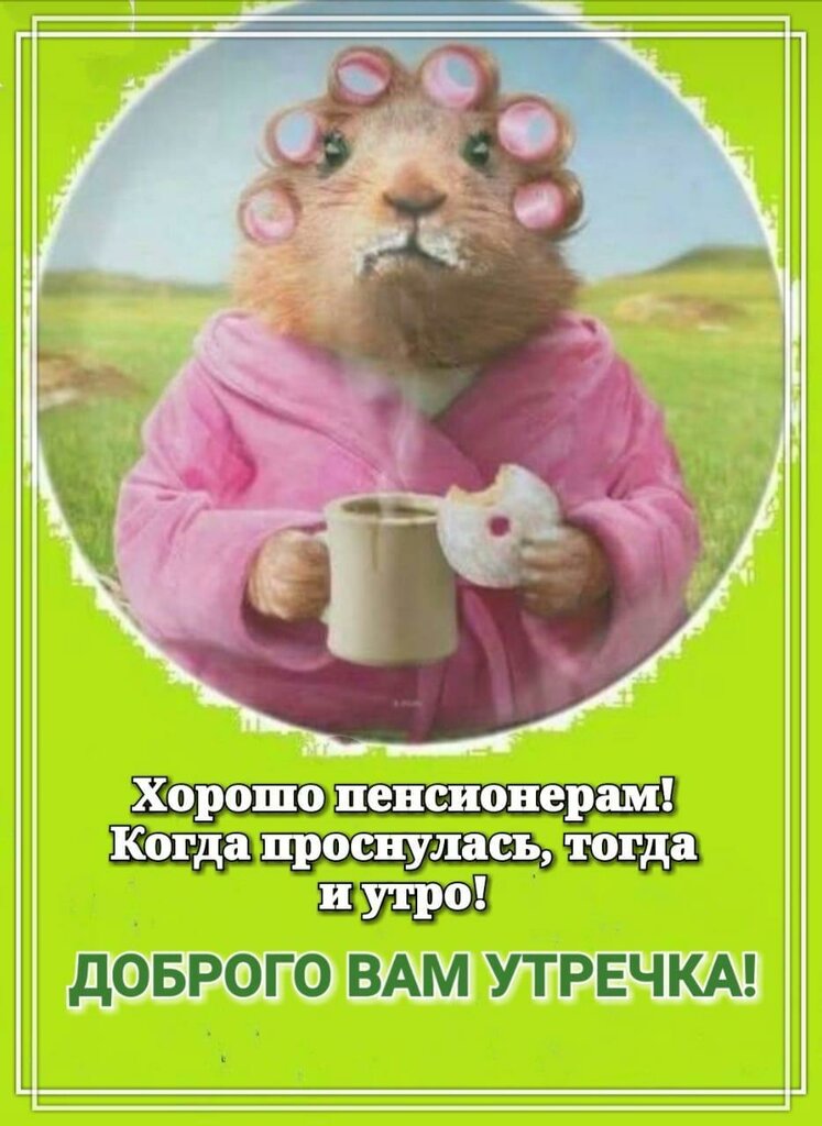 Sosyal yardım kuruluşları Центр социальной помощи семье и детям города Стрежевого, Strejevoy, foto