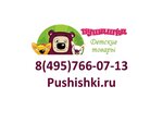 Pushishki.ru (Vilisa Latsisa Street No:30с2), elektrikli araç satışı  Moskova'dan