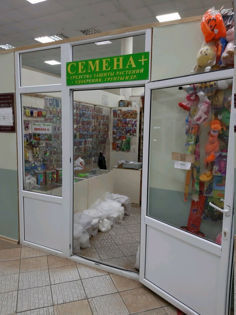 Tohum satan yerler Семена +, Kursk, foto