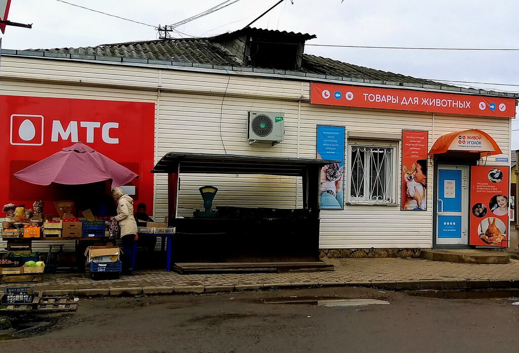 Petshop Pet Shop pets' corner, Staraya Russa, foto