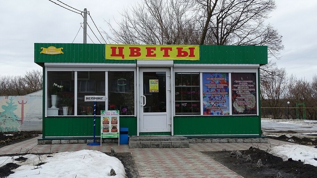 Çiçekçiler Мир цветов, Saratovskaya oblastı, foto