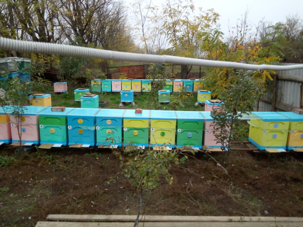 Arıcılık malzemeleri Uliki-Rostov, Rostov‑na‑Donu, foto