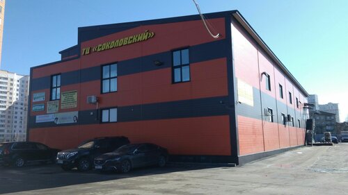 Alışveriş merkezleri Sokolovskiy, Şçolkovo, foto