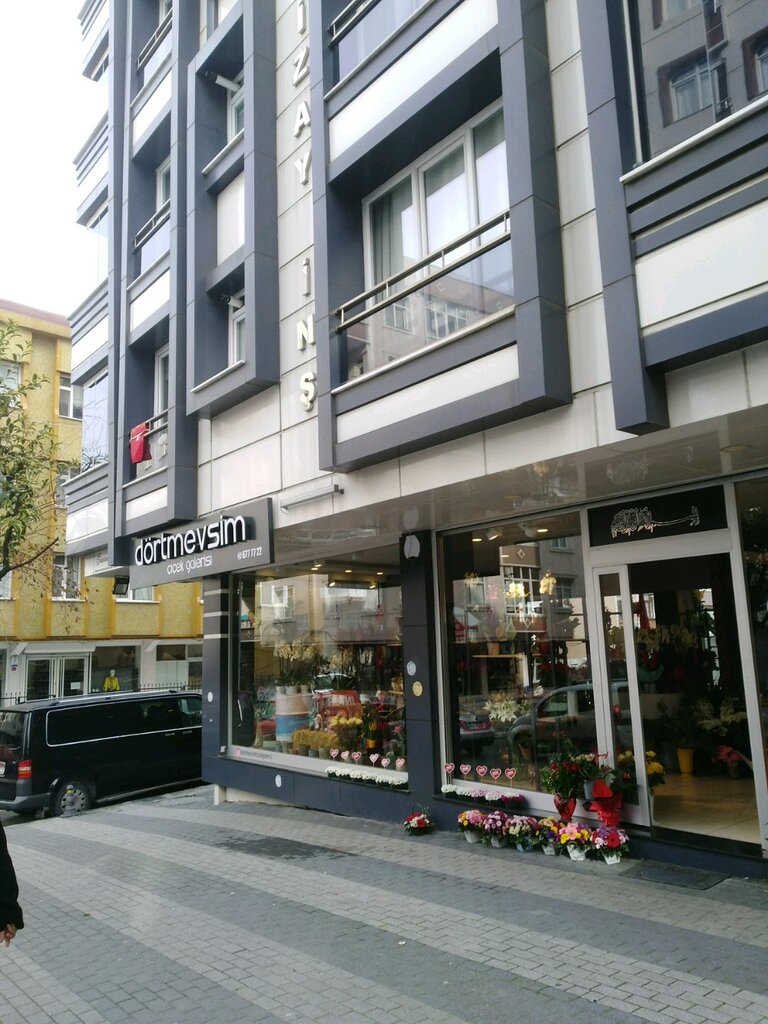 Çiçekçiler Dört Mevsim Çiçekçilik, İstanbul, foto