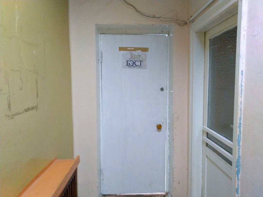 Hayvanat bahçesi merkezi Бэст, Briansk, foto