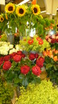 Blumen Dietel Brigitte (Bavaria, Bayreuth, Alexanderstrabe), çiçek teslimatı  Bayreuth'tan