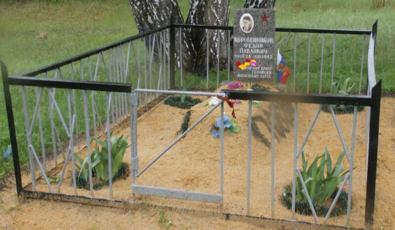 Ünlü kişilerin mezarları Могила лётчика, Rostovskaya oblastı, foto