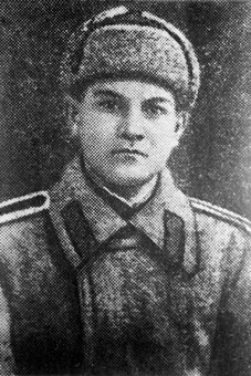 Anıt levhası, anıt taş Василию Федоровичу Телкову, Riazanskaya oblastı, foto