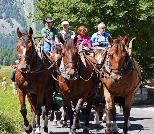 Alışveriş merkezleri Clalüna-Sils Kutschenfahrten, Graubunden, foto