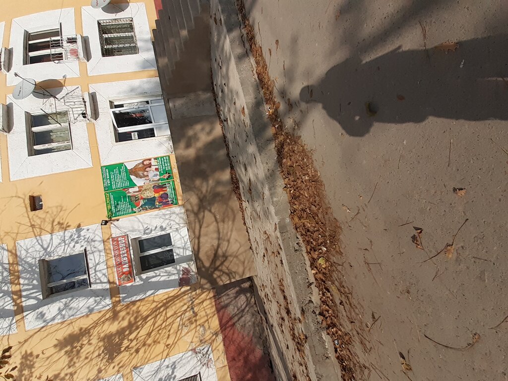 Yabancı dil kursları Kings Akademy, Angren, foto
