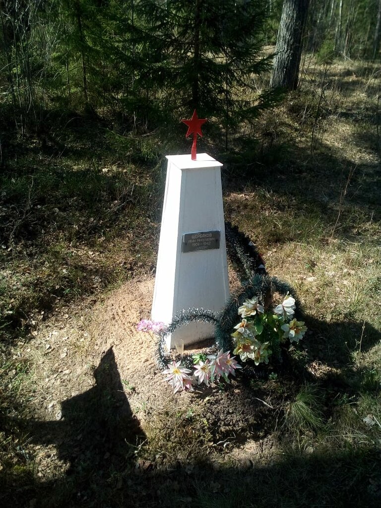 Anıt, heykel Могила красноармейца И.Н. Щербакова, Novgorodskaya oblastı, foto