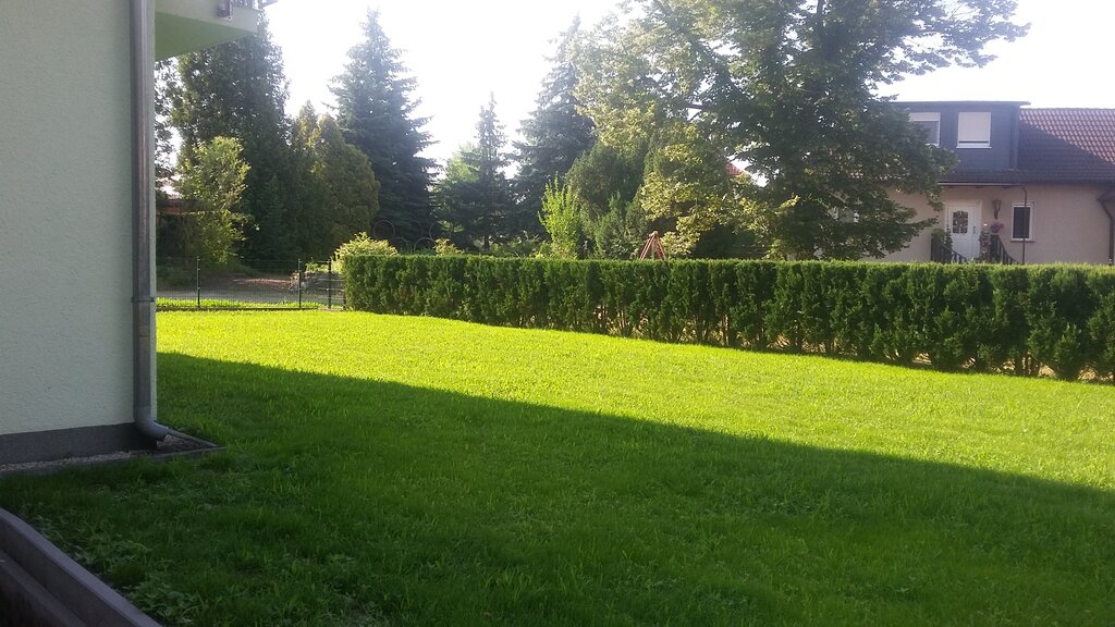 Peyzaj tasarımı Firma Schmidt Garten-, Tief- und Landschaftsbau, Saksonya, foto