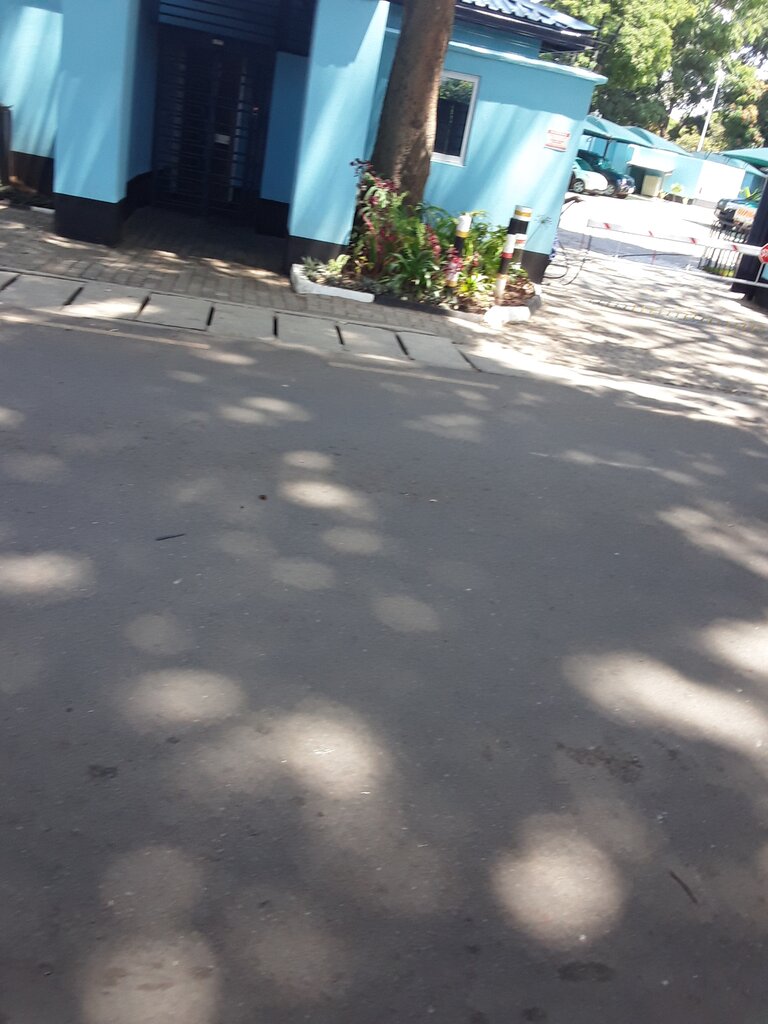 Üniversiteler International School of Lusaka Multi Purpose Center, Lusaka, foto