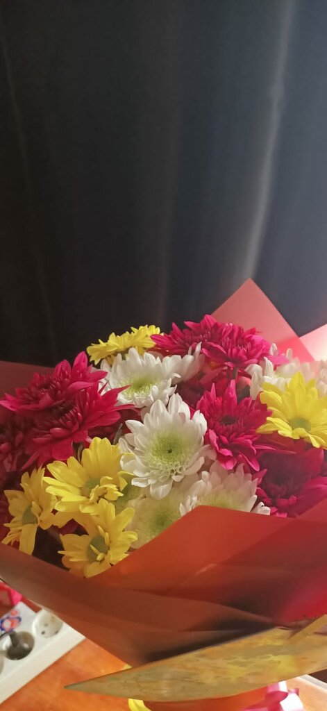 Çiçekçiler Oazis, Ip, Stavropolski krayı, foto