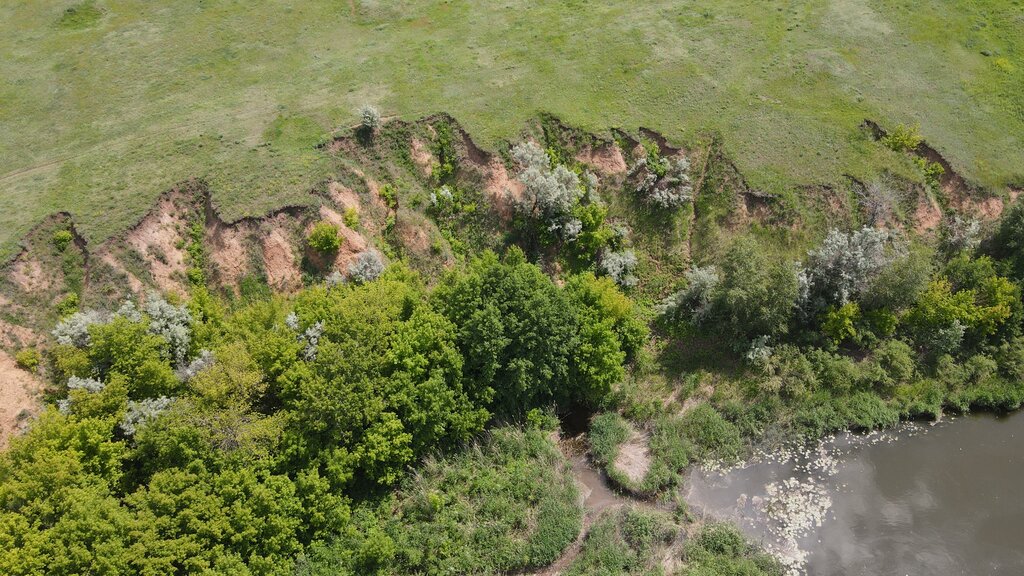 Doğa Геологический памятник природы Обрыв Сверчки, Orenburgskaya oblastı, foto