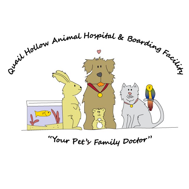 Evcil hayvan kuaförleri Quail Hollow Animal Hospital, Florida Eyaleti, foto