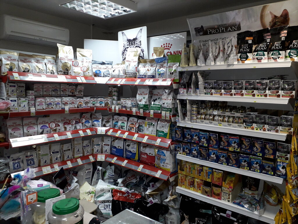 Petshop Yozhik V Tumane, Samara, foto