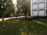 Спортивная площадка (Tallinskaya Street No:12к4, Moscow), spor alanı  Moskova'dan