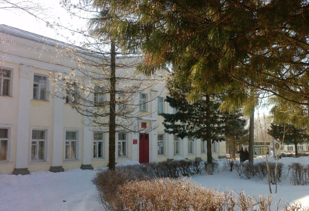 Sanat okulları Bezhanitskaya shkola Iskusstv, Pskovskaya oblastı, foto