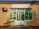Pharmacy (Uzunyoʻl koʻchasi No:2, Ferghana), eczaneler  Fergana'dan