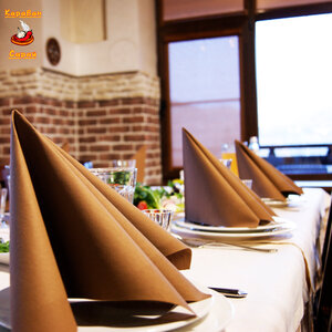 Karavan-Saray (Stavropol Territory, Predgorny munitsipalny okrug, posyolok Podkumok), restoran  Stavropolski krayından