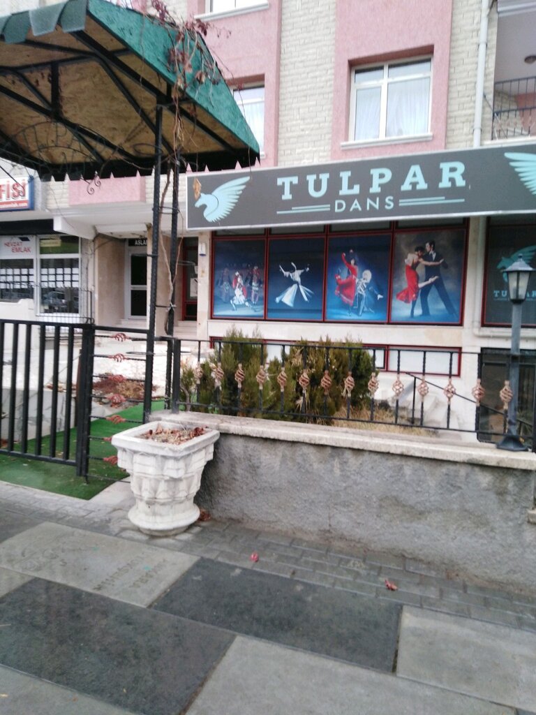 Sanat okulları Tulpar Dans Okulu, Ankara, foto