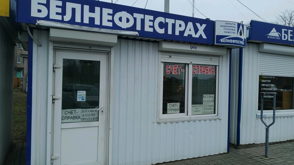 Sigorta şirketleri Zaco Belneftestrah, Moguilev, foto