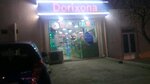 Basfarm (Bukhara, Xoja Orif Mohitobon Street), eczaneler  Buhara'dan