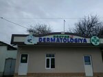 Dermatology (Hakimhon street No:84), tıp merkezleri ve klinikler  Taşkent'ten