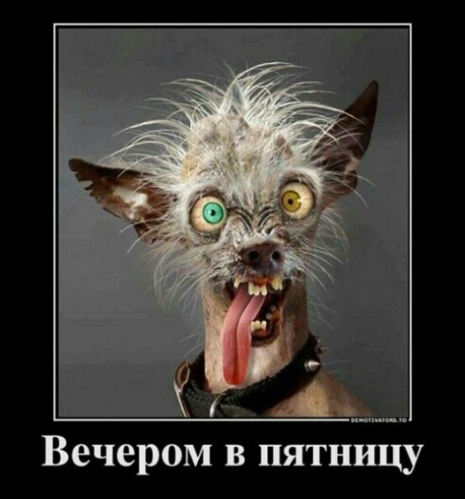 Bina, site yönetimi Abonentsky tsentr Kp Upravlyayushchey kompanii Leninskogo rayona g. Donetska, Donetsk, foto