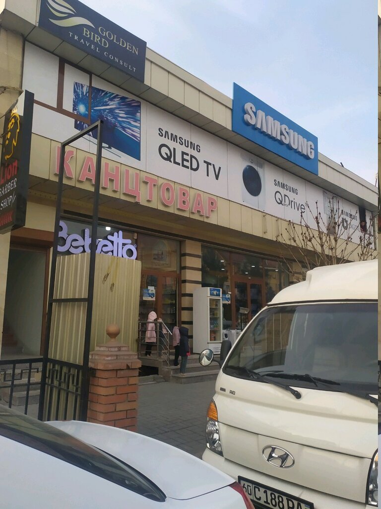 Berberler Lion, Andican, foto