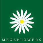 MegaFlowers (ulitsa Perelyota No:27), çiçekçiler  Omsk'tan