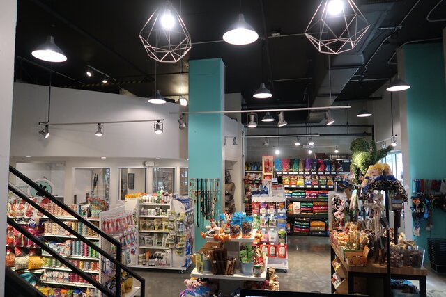 Petshop The Modern Paws, Tampa, foto