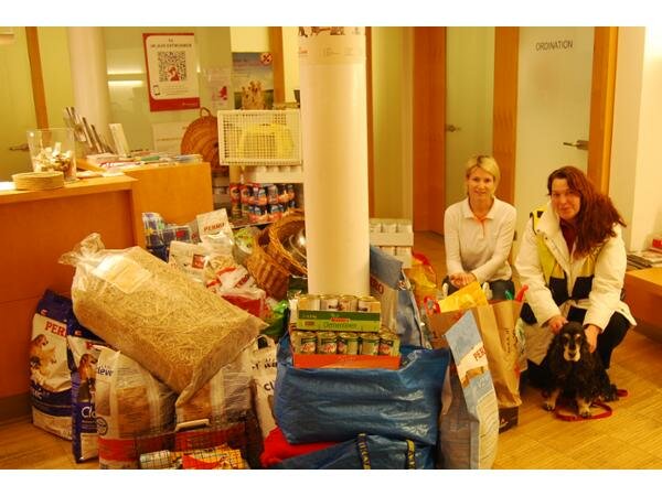 Veteriner klinikleri Wirnsberger Andrea Dr med vet, B. ac, Aşağı Avusturya, foto