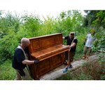 Sommer Klavier- & Flügeltransporte (Eichenweg No:31, Mannheim), toplu taşıma yönetimi ve bakımı  Mannheim'den