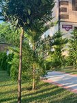 Sun City (Lenina Street No:290/2), otel  Soçi'den